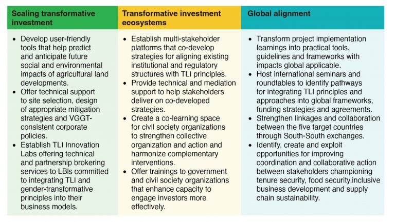 TLI innovation streams - Transformative Land Investment
